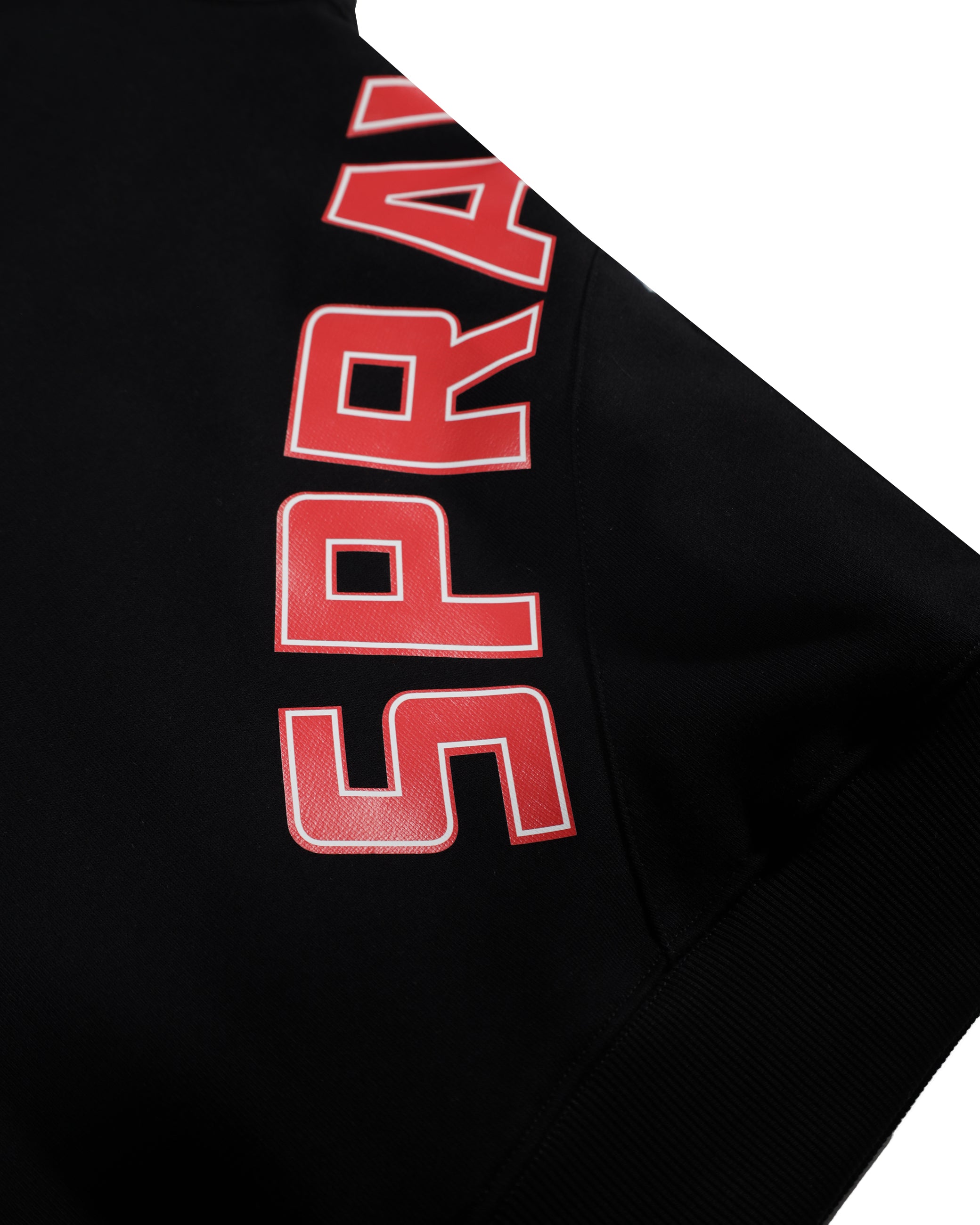 Sprayground SPRAYGROUND DAILY REGULAR HOODIE